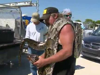 Everglades snake hunter Dusty 'Wildman' Crum catches nearly 17-foot ...