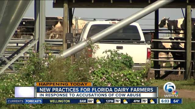 Florida s Largest Dairy Cooperative To Announce New Practices After florida-s-largest-dairy-cooperative-to-announce-new-practices-after