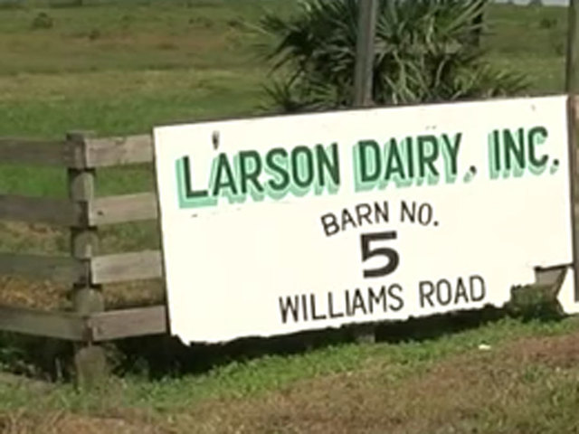 Group claims dairy farm owner knew of cow abuse