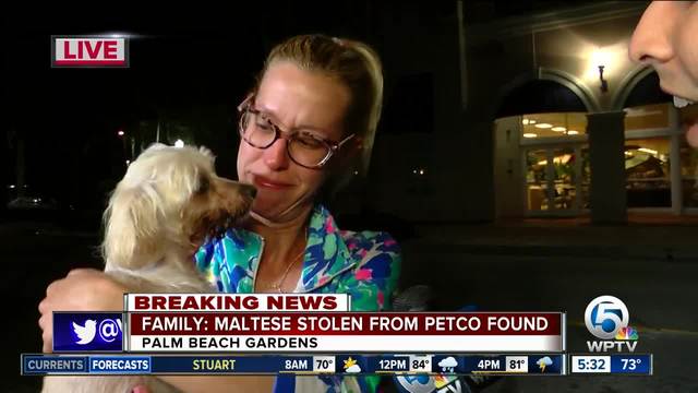 Owner reunited with dog stolen from local Petco
